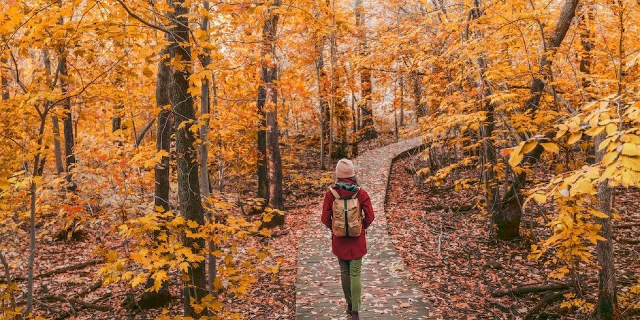 Midday Nap vs. Walk: Which One Is Better for You? - FastFit®